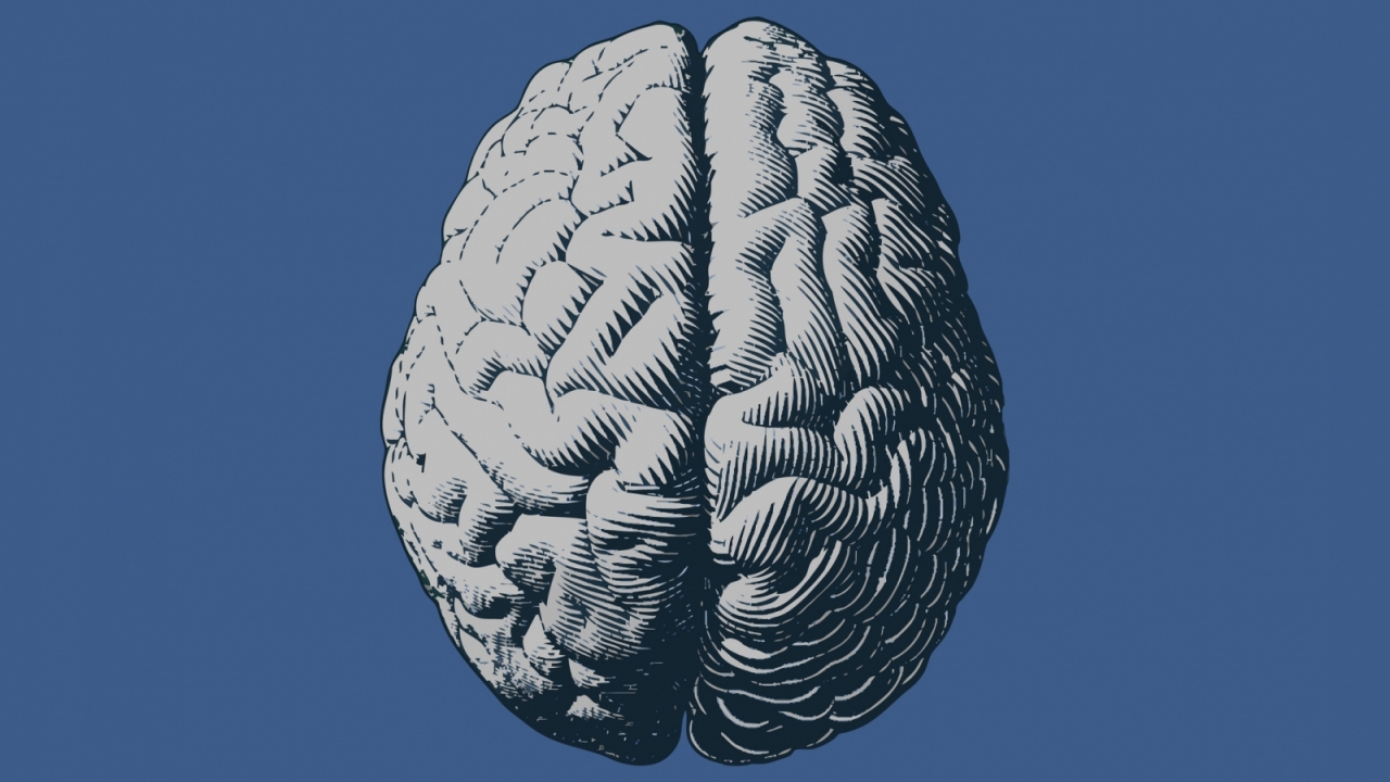 Autism Spectrum Disorder Linked to Shape of Brain’s Cerebellum ...