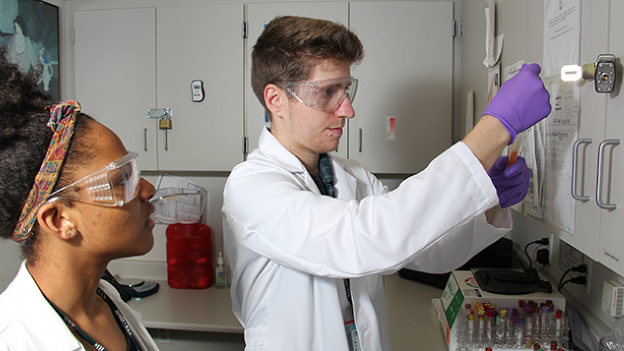 Behavioral Pharmacology | Columbia University Department of Psychiatry